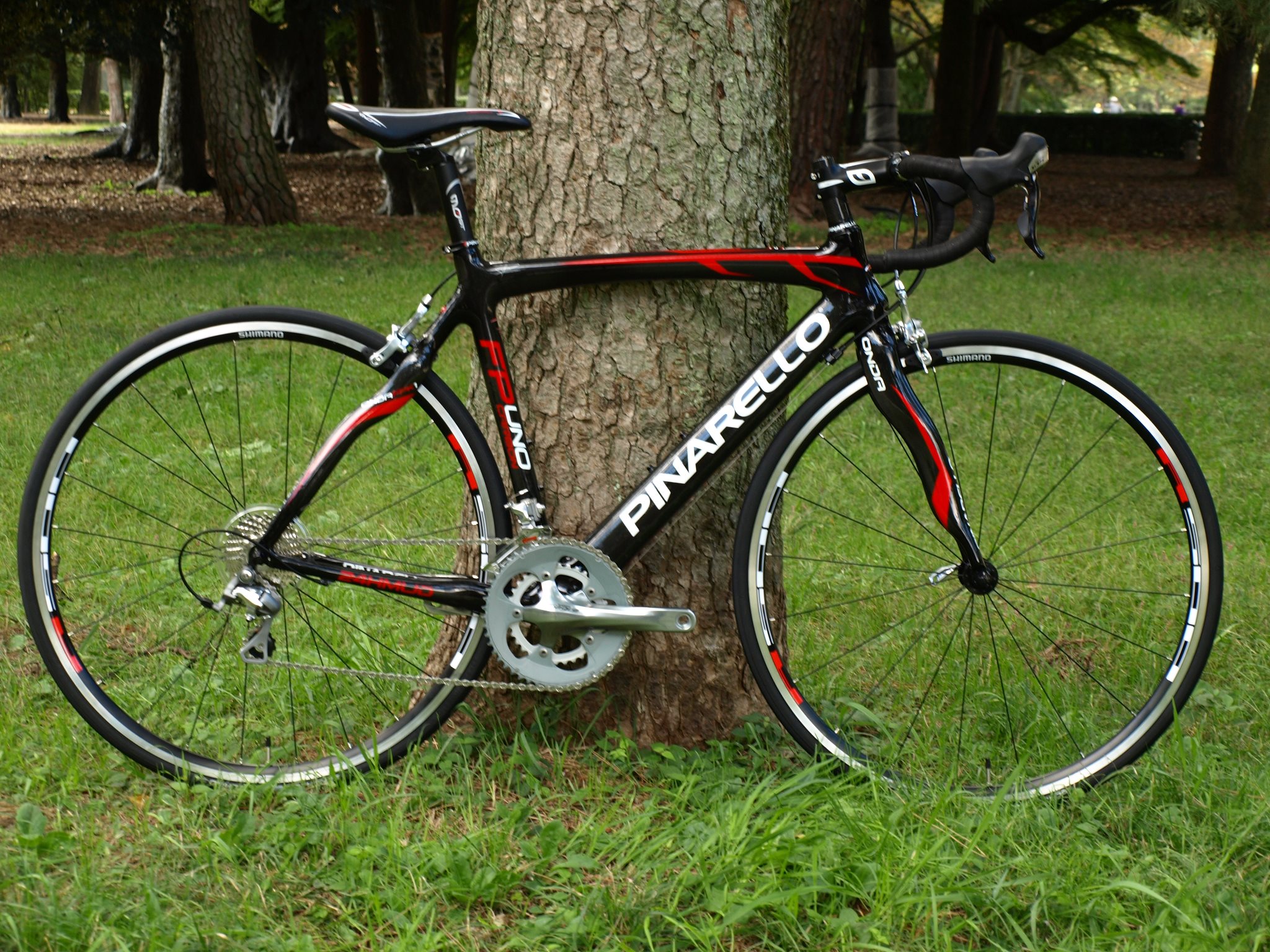 2013 PINARELLO FP UNO CARBON 46SL/CARBON RED | 京都市上京区のロードバイク、クロスバイク 専門店 ...